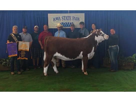 OCC FLAWLESS QUEEN ET | STREAMLINE